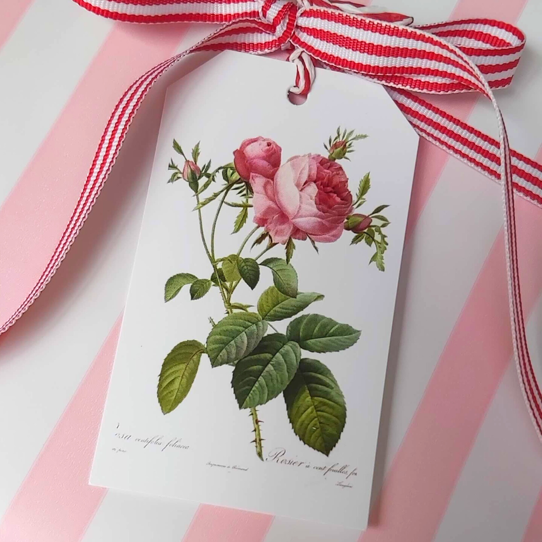 REDOUTÉ Rosa Centifolia Gift Tag (Set of 10) - Malmaison